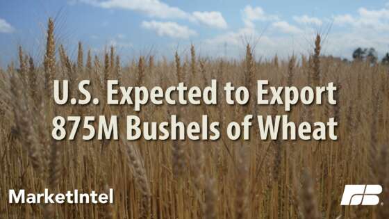 Wheat Exports: The Balancing Act of U.S. Wheat | Market Intel ...