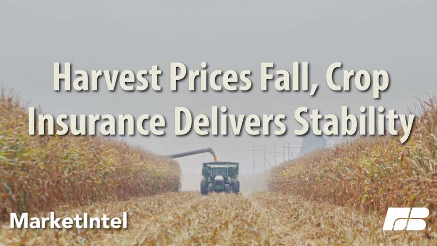 Reviewing 2025 Crop Insurance Price Discovery | Market Intel | American ...