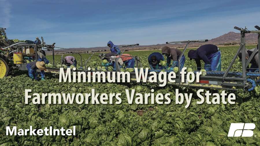 Minimum Wages in Agriculture | Market Intel | American Farm Bureau ...