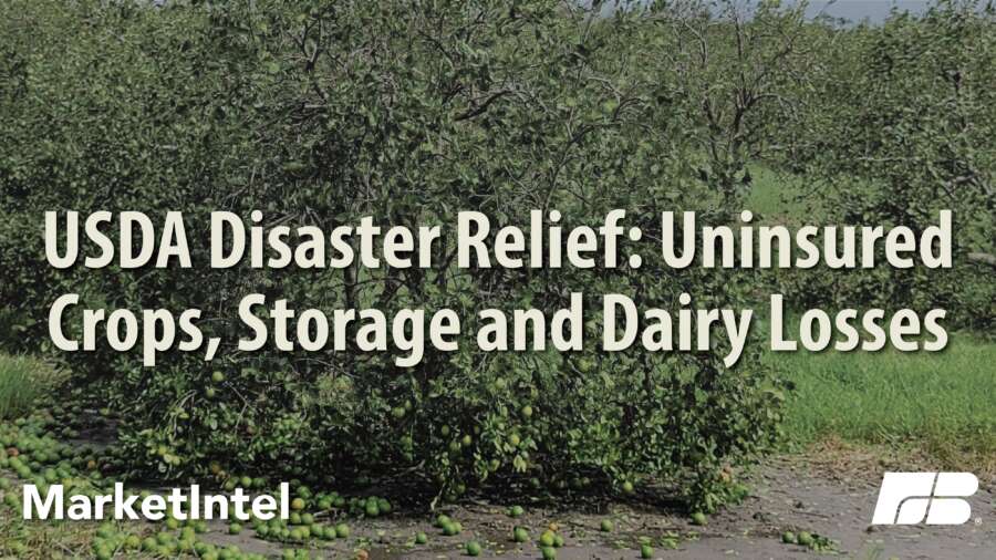 Understanding USDA’s New Natural Disaster Relief: Part 2 | Market Intel ...