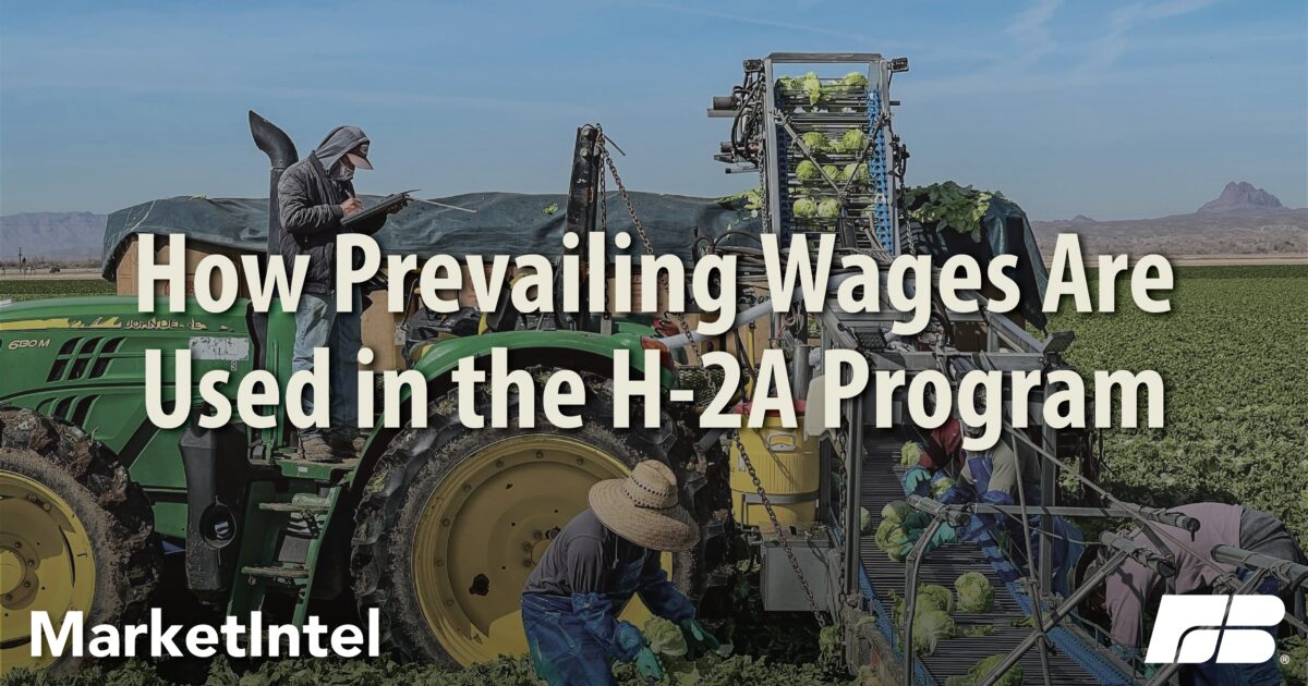Another H-2A Wage? The Prevailing Wage Rate | Market Intel | American ...