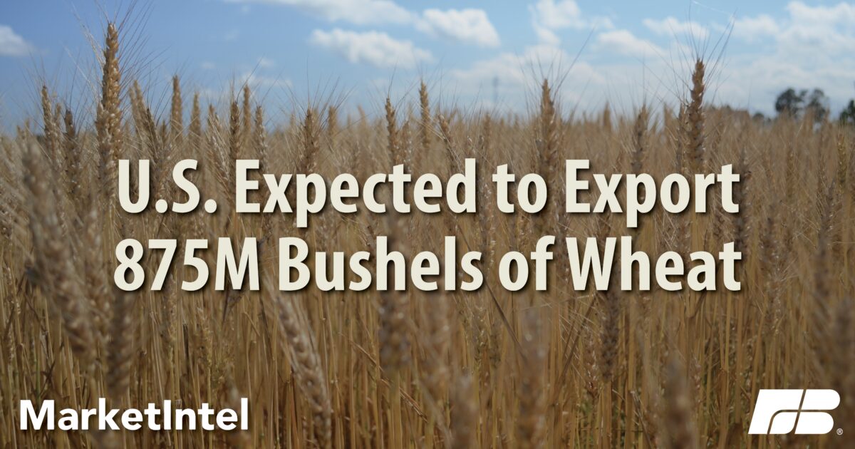 Wheat Exports: The Balancing Act of U.S. Wheat | Market Intel ...