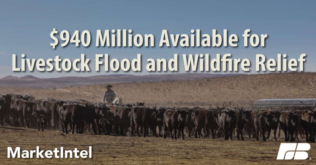 ELRP Expands to Support Livestock After Floods and Fires | Market Intel ...