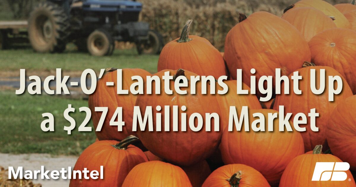 Carving Out a Living: Celebrating America’s Pumpkin Market | Market ...