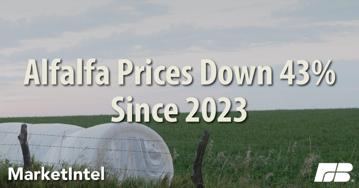 Alfalfa in the Red: Rising Costs, Falling Returns | Market Intel ...