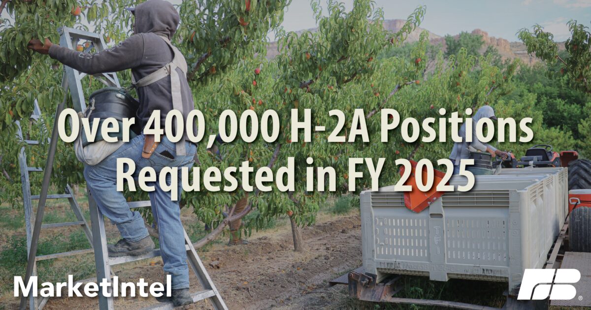 H-2A Program Use Continues to Soar | Market Intel | American Farm ...