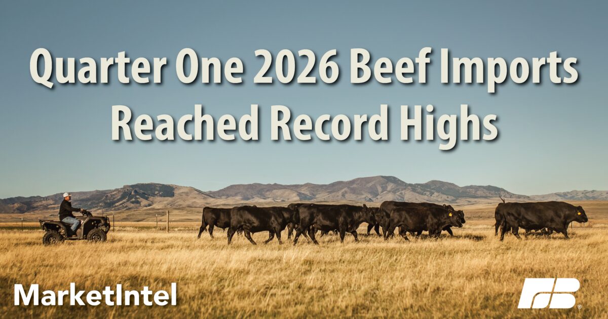 Relaxing Beef Import Quotas Sends Mixed Signals to Ranchers | Market ...