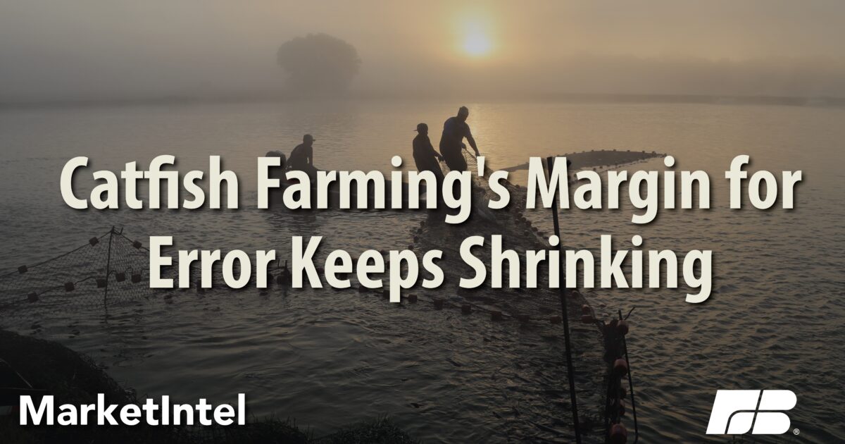 America's Top Farm-Raised Fish Faces Growing Pressures | Market Intel ...