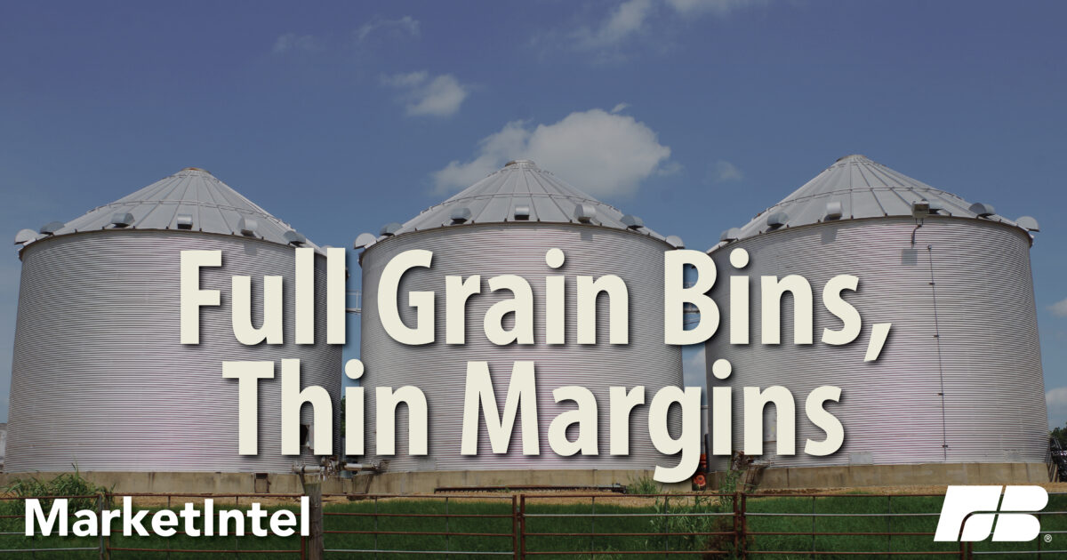 Grain Storage Remains Tight | Market Intel | American Farm Bureau ...