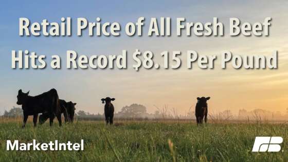 Beef Prices Soar to Record Highs, Yet Farmers Struggle to Reap the ...