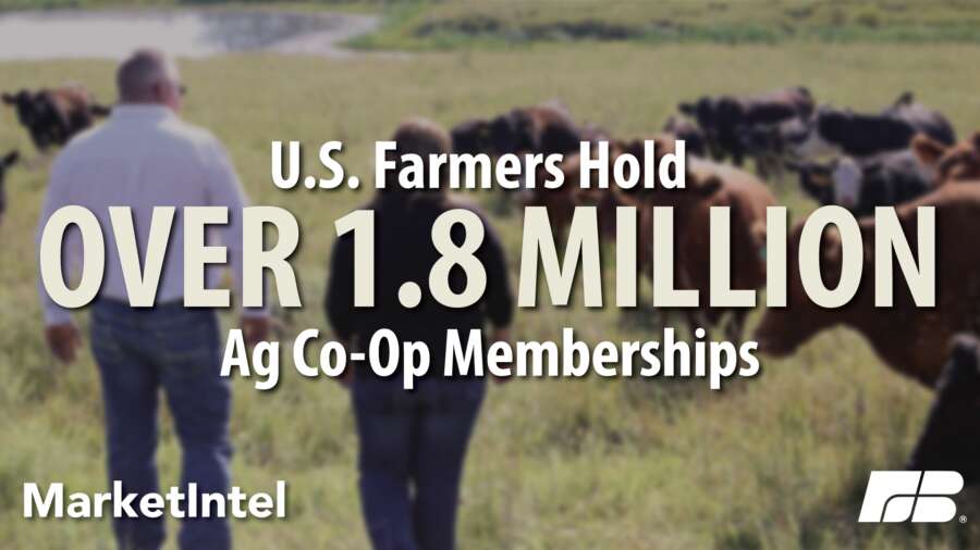 The Crucial Role of Farmer Cooperatives and Why Active Participation ...