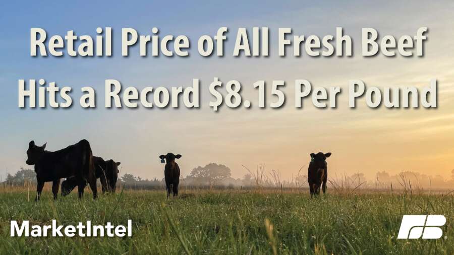 Beef Prices Soar to Record Highs, Yet Farmers Struggle to Reap the ...