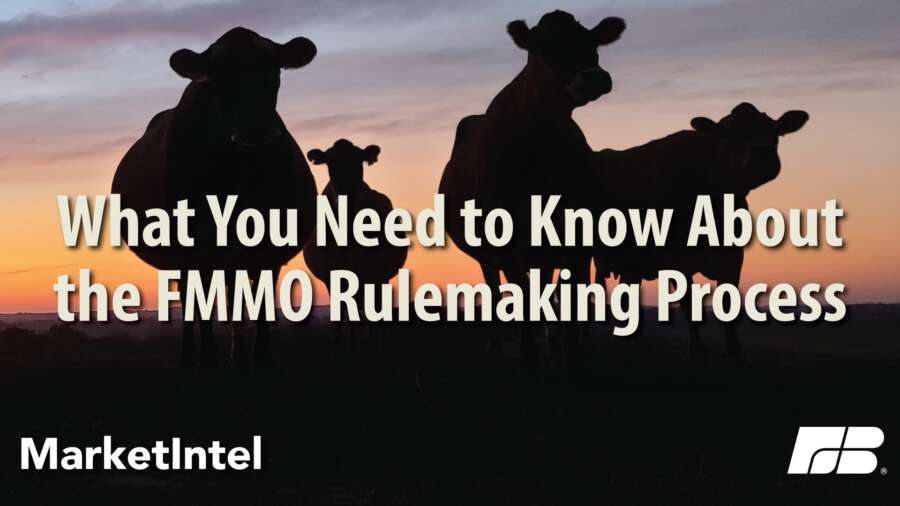 Understanding the FMMO Referendum Process | Market Intel | American ...