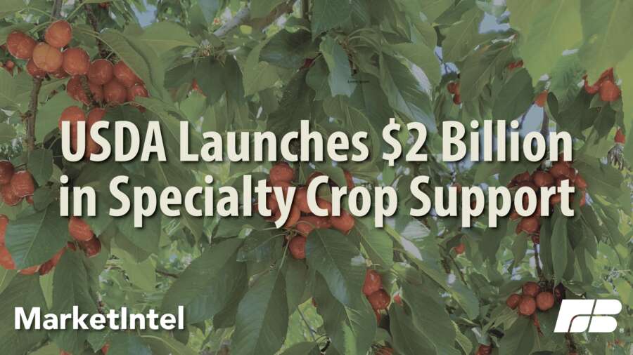 Marketing Assistance for Specialty Crops: A Closer Look | Market Intel ...