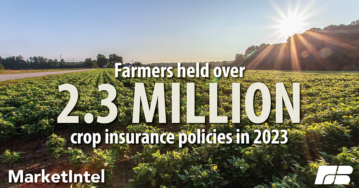 Crop Insurance 101: The Basics | Market Intel | American Farm Bureau Federation