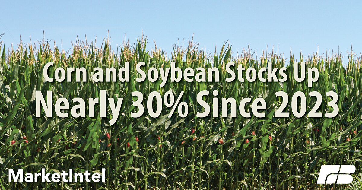 Farmers’ Woes Grow with Large Grain Stocks | Market Intel | American ...