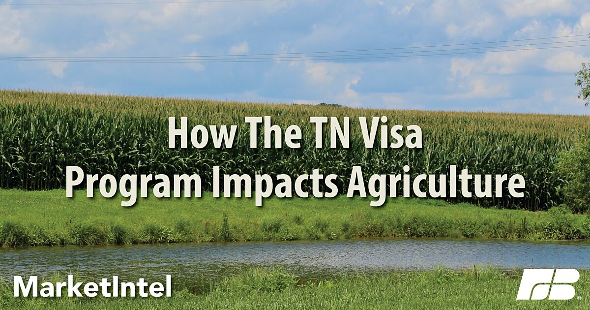 Agricultural Labor: The TN Visa Program | Market Intel | American Farm ...