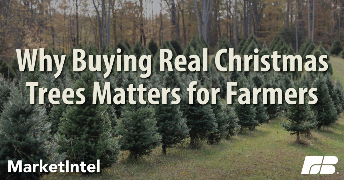 Real Christmas Trees: A Market Worth Supporting | Market Intel ...