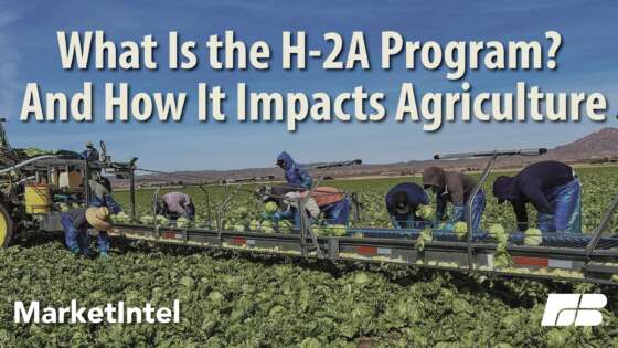 Debunking H-2A Myths | Market Intel | American Farm Bureau Federation