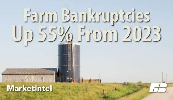 2024 Farm Bankruptcies Highlight Worsening Farm Credit | Market Intel ...