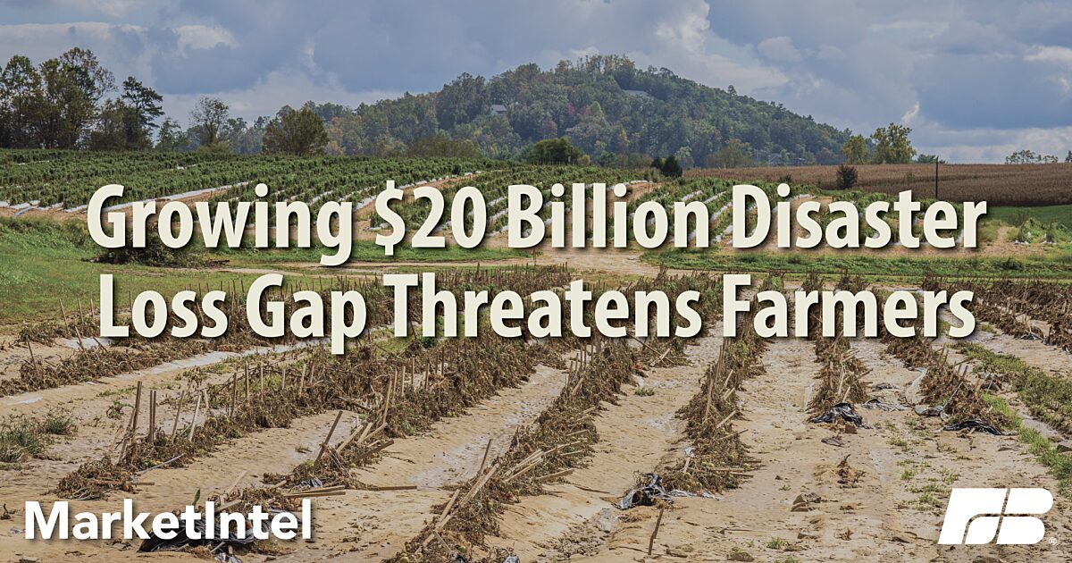 Natural Disaster Relief for Farmers: Incomplete Since 2022 | Market ...