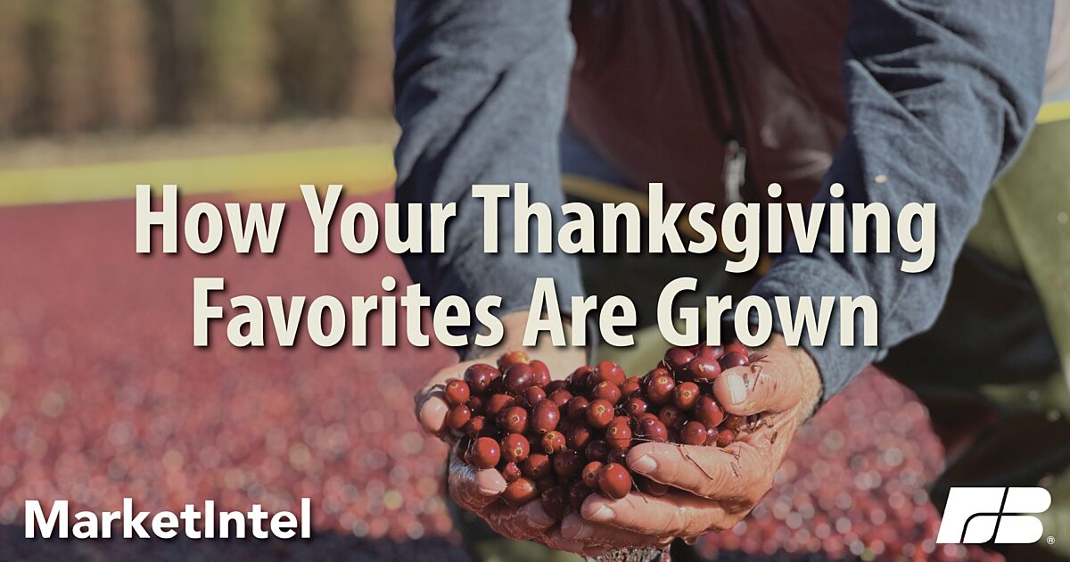 Thanksgiving Dinner: A Celebration of American Agriculture | Market ...