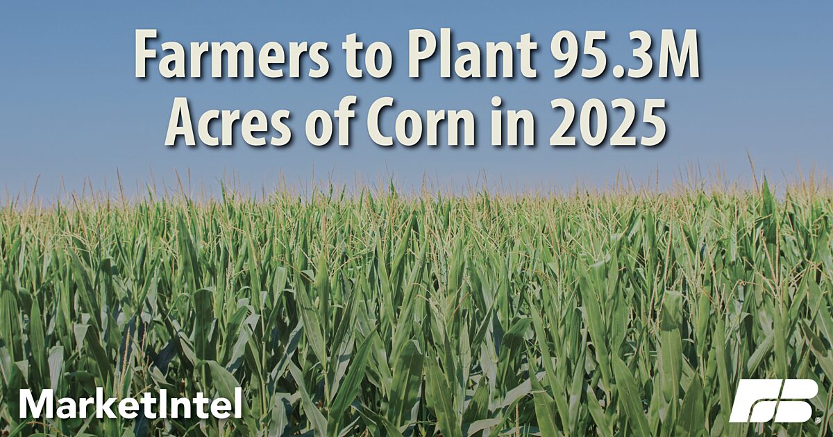 Prospective Plantings Report Shows Big Shift to Corn | Market Intel ...