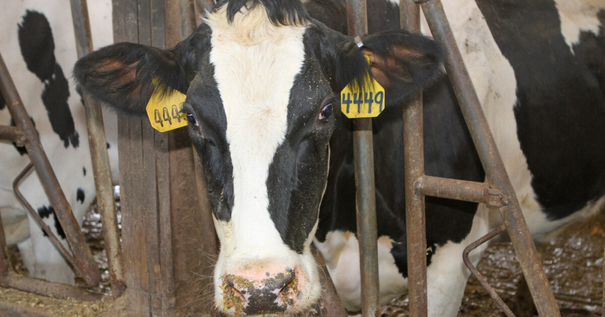 Needed FMMO Reform Undermined by Make Allowance Giveaway | News Release ...