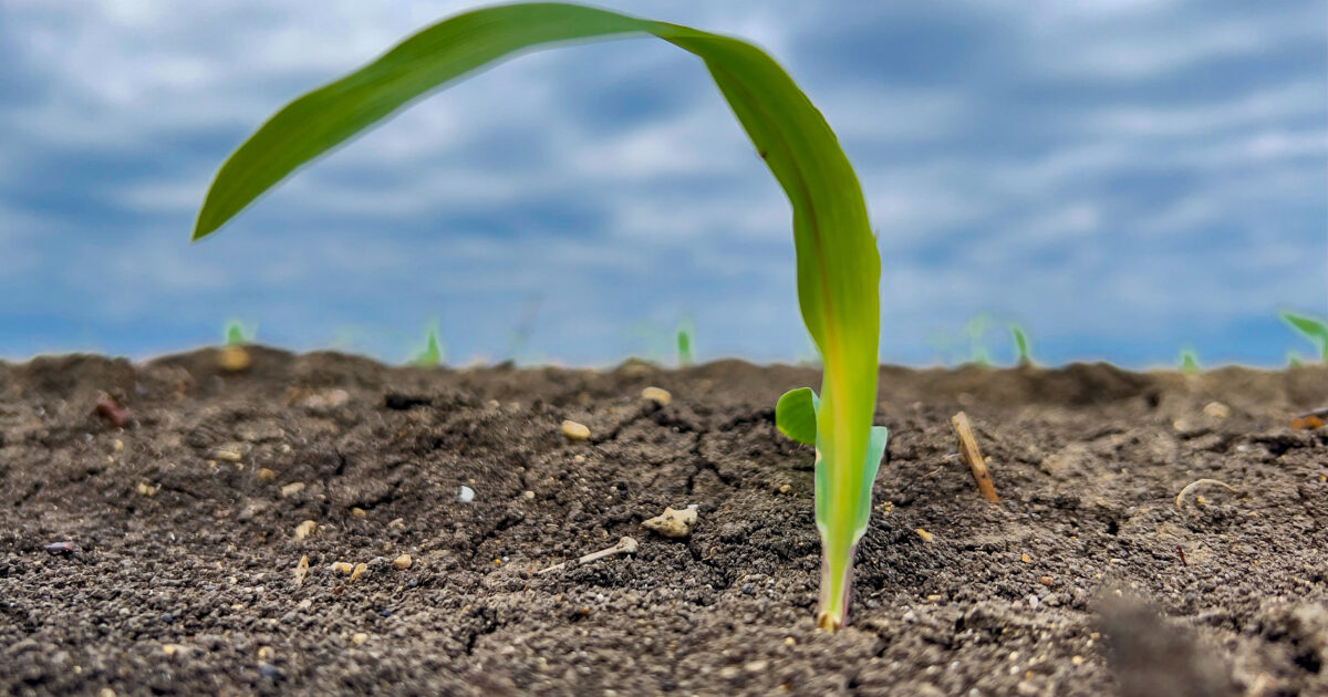 AFBF Calls for Intervention to Prevent Food Supply Shocks | News ...