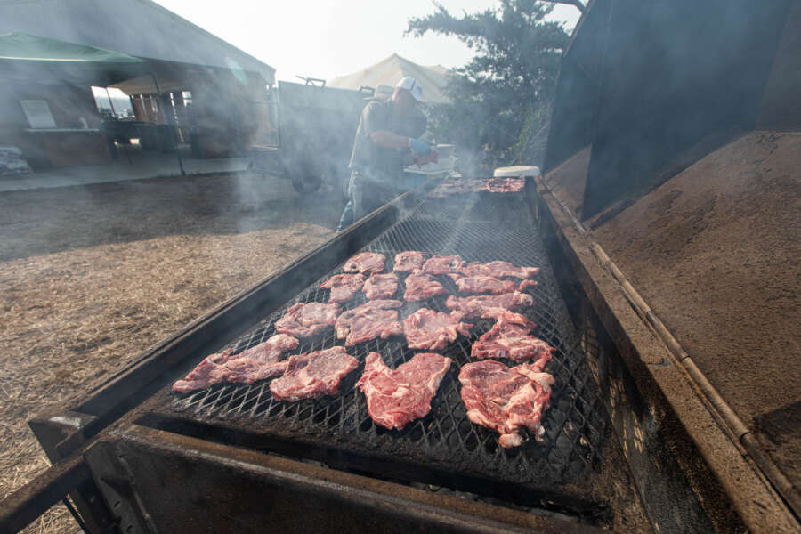 Are Record High Beef Prices on the Horizon? | News Release | American ...