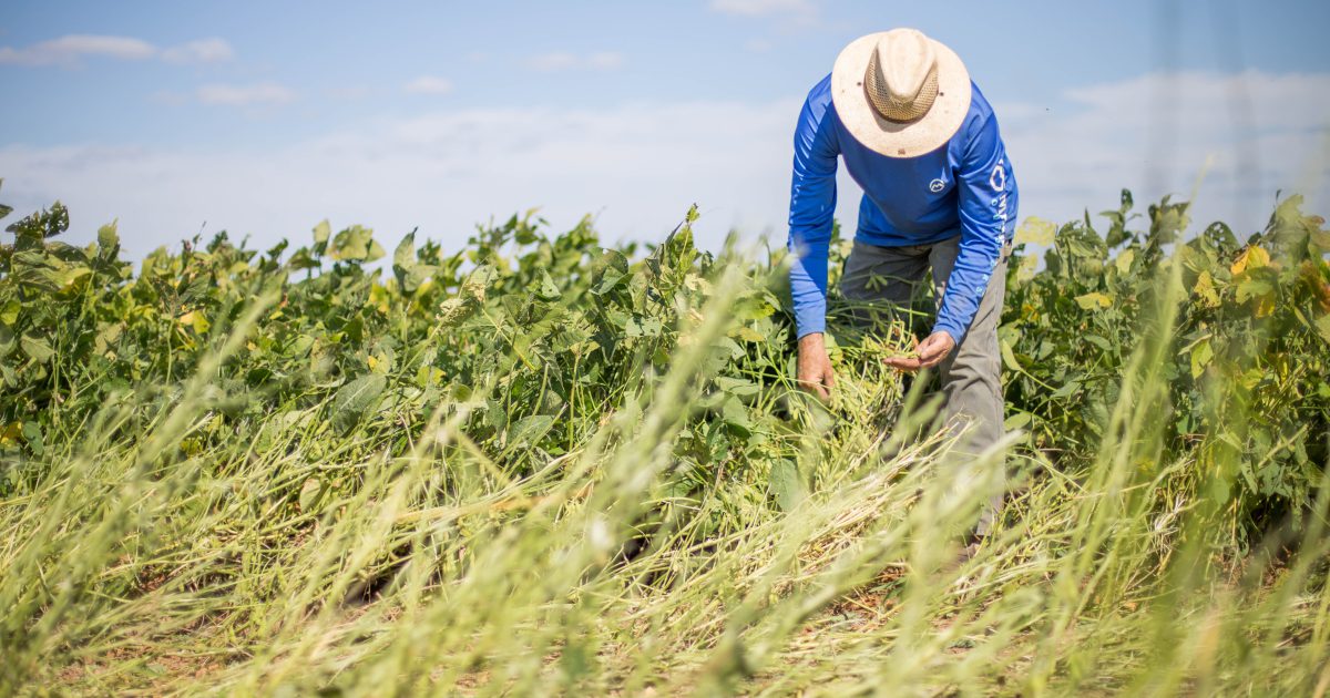 Feeding the Economy: Agricultural Jobs by State | Market Intel ...