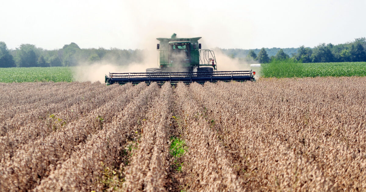 Revised USDA Farm Income Forecast Sends Positive Signal on Farm Economy ...