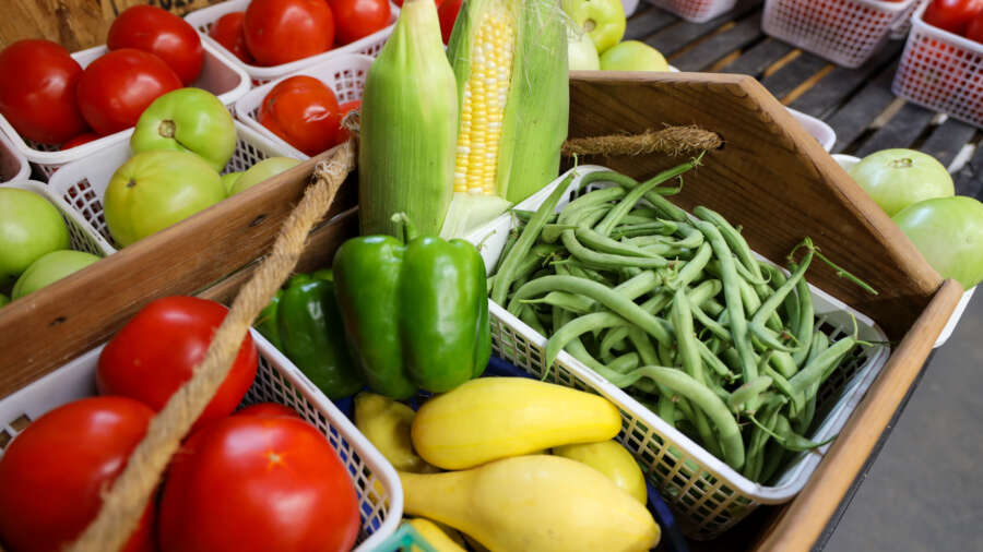 Dietary Guidelines Focus on Fresh, Nutrient-Dense Foods | News Release ...