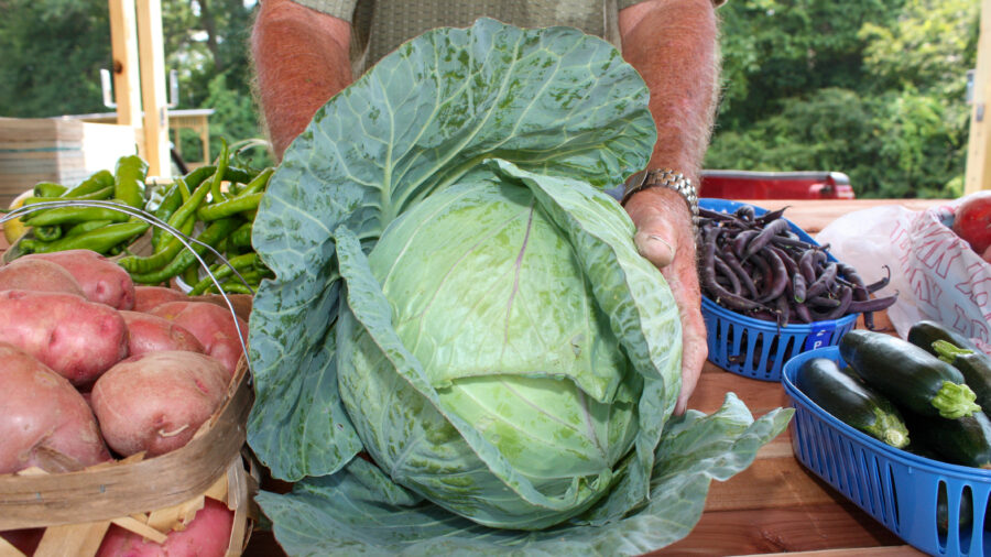 Farm Policy | American Farm Bureau Federation