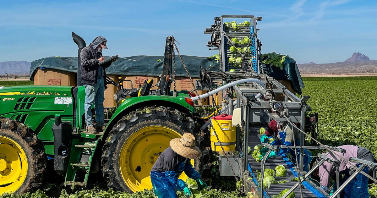 H-2A and the AEWR We Were | Market Intel | American Farm Bureau Federation
