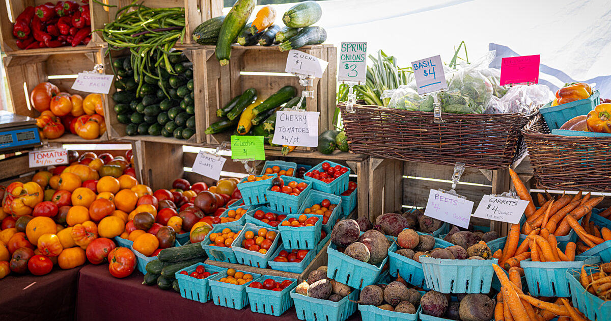 USDA Finalizes Specialty Crop Assistance Program Details | Newsline ...
