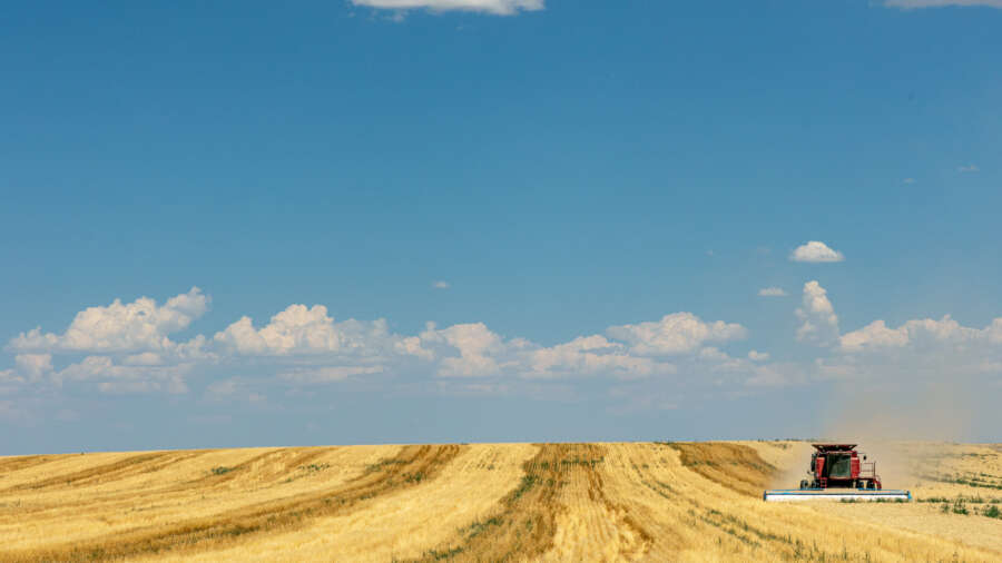Celebrating National Ag Day and the Heart of Farming | The Zipline ...