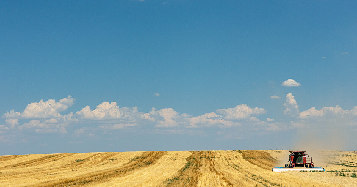 Celebrating National Ag Day and the Heart of Farming | The Zipline ...