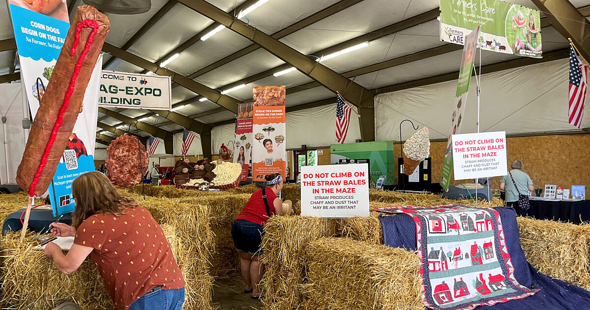 From Library Events to Fair Activities, County Farm Bureaus Teach All ...