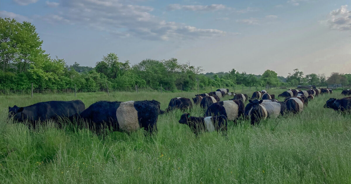 Scavenger Hunt Puts Rhode Island Agriculture on the Map | Farm Bureau ...