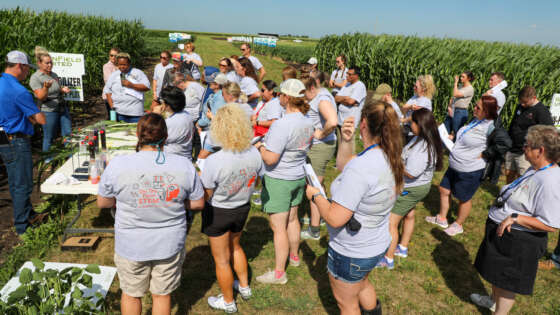 Agriculture Education: In the Classroom, At Home and On the Farm | The ...
