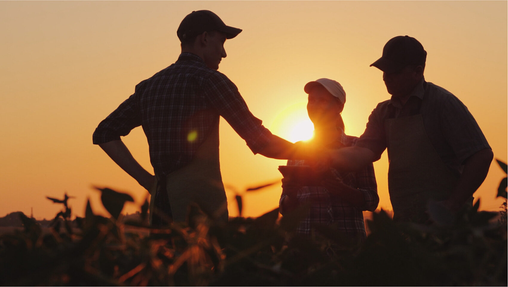 Advocacy | American Farm Bureau Federation