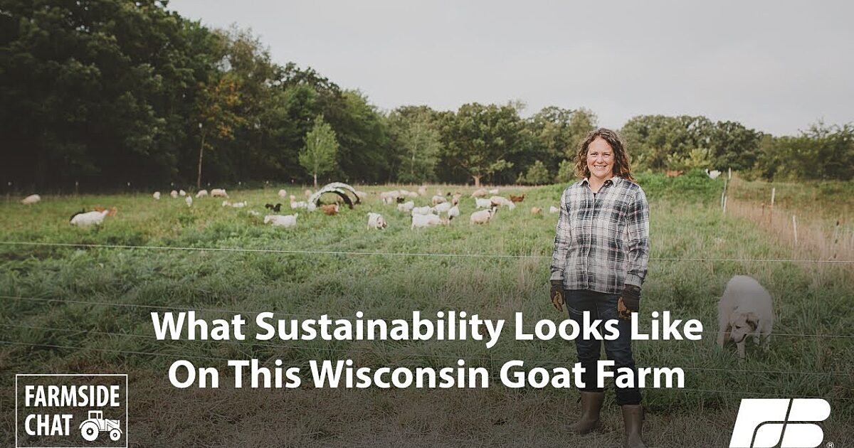 What Sustainability Looks Like on This Wisconsin Goat Farm | Farmside ...