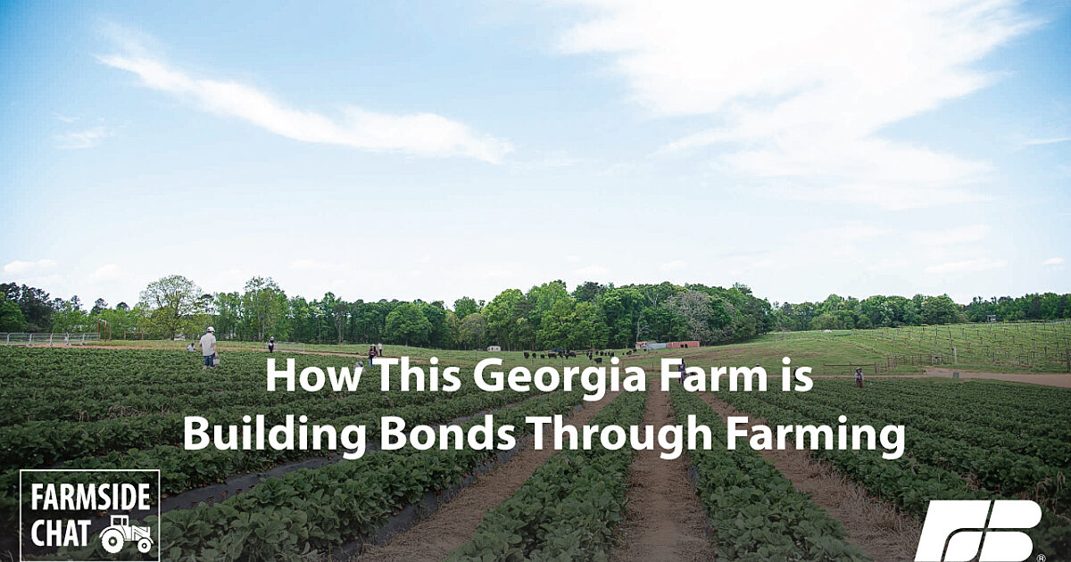 How This Georgia Farm is Building Bonds Through Farming | Farmside Chat ...