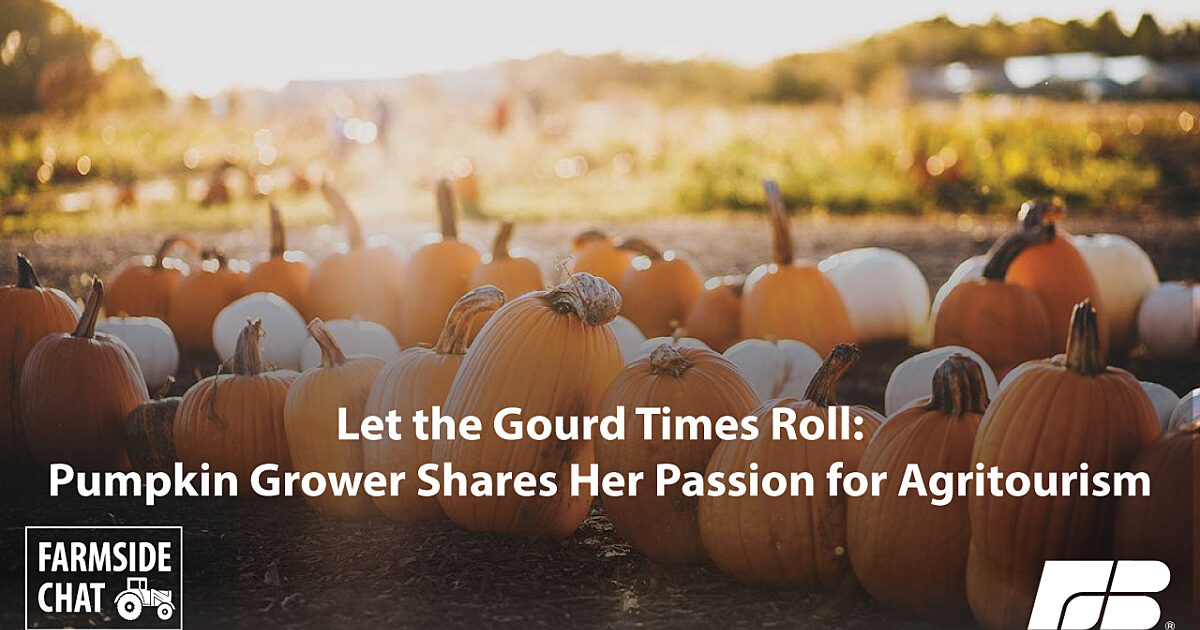 Let the Gourd Times Roll: Pumpkin Grower Shares Her Passion for ...