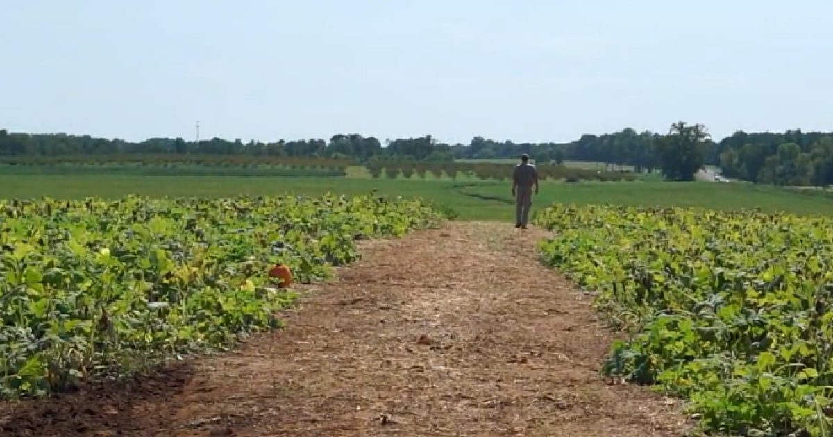 SC AgriWellness Earns International Recognition for Farmer Mental ...