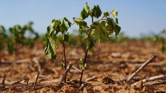 New Estimates Reveal Major 2022 Weather Disasters Caused Over $21 ...