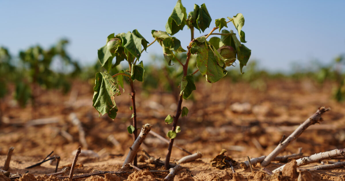 New Estimates Reveal Major 2022 Weather Disasters Caused Over $21 ...