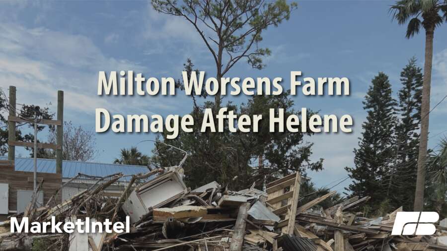 Double Blow to Florida Farms: Hurricane Milton Worsens Damage After ...