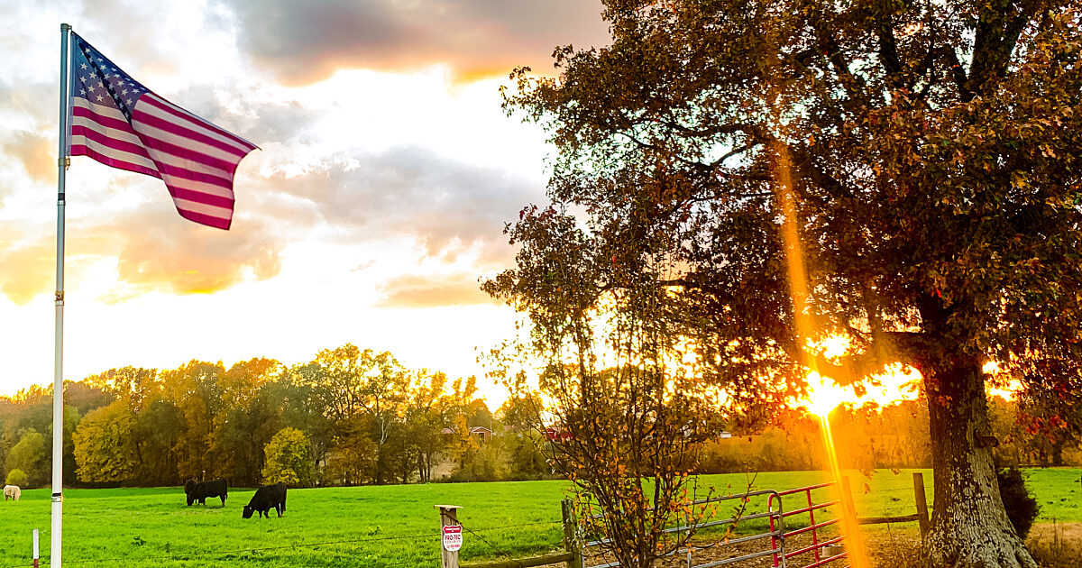 Veteran Farmer Award of Excellence | American Farm Bureau Federation